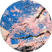 docker 安装bili-sync-rs 同步B站收藏夹 - 肆拾伍|Halo Blog